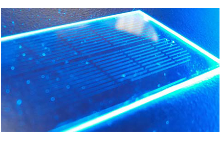 Protein Expression Heterogeneity With Milo The First Single-Cell ...