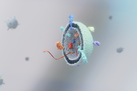 Exosome Isolation By Tangential Flow Filtration And Size Exclusion ...