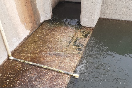 Greaseballs Gone As New Pumps Get To Work