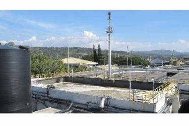 Environmental Overachievers Del Monte Philippines Inc Harvest Free ...