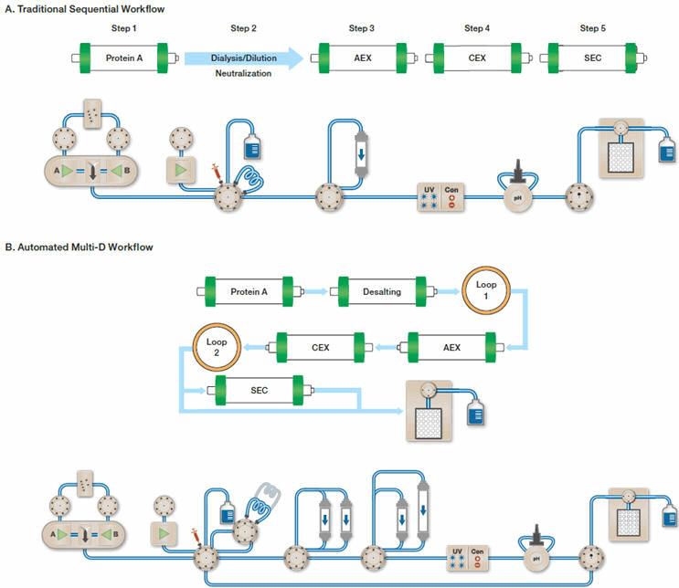 Automated mAb Workflows Combining Multidimensional (Multi-D ...