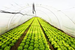 Biotech Innovator Reveals Commercial Ready 100% Biodegradable Plastic