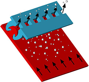 Zip-Pak Introduces Powder-Proof™ Zippers For Improved Resealability Of ...