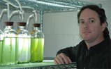 Oil From Algae Closer To Reality Through Studies By Unique ...
