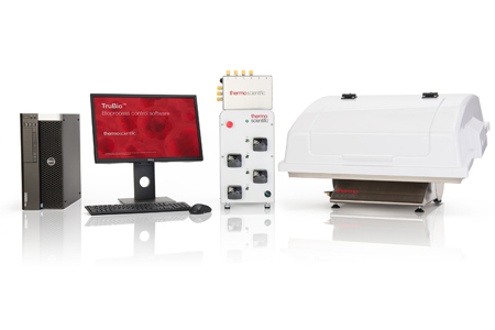 Cultivation Of CHO Suspension Cells And SEAP Expression In The ...