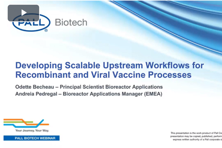 Developing Scalable Upstream Workflows For Recombinant And Viral ...