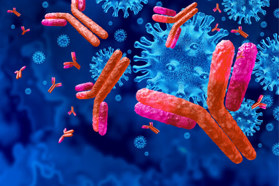 Drug Formulation, Formulation Development