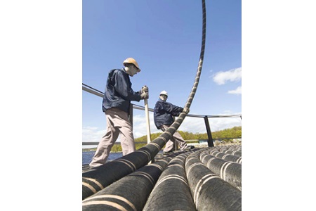 ABB Wins Cable System Order For One Of The World's Biggest Wind Farms