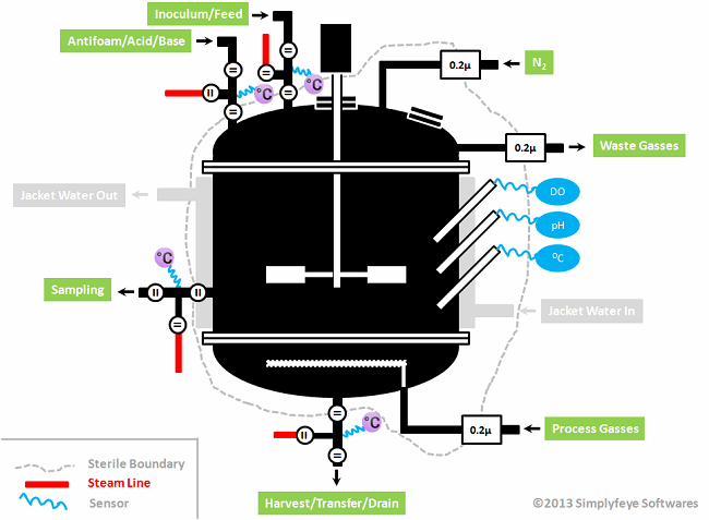 Troubleshooting Bacterial Contamination In Bioreactors