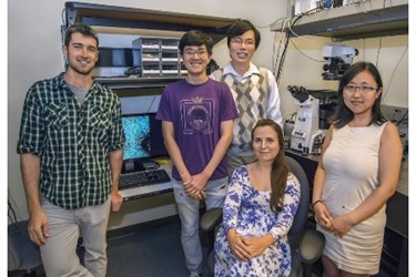 Major Innovation In Molecular Imaging Delivers Spatial And Spectral ...