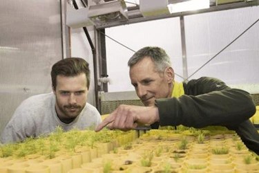 ISU Professor Keith Reinhardt Contributes Co-Authors Paper On What ...