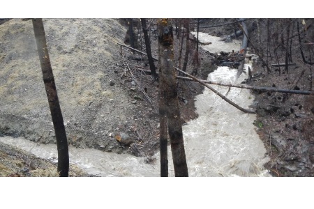 Six Months After Historic Wildfires Oregon State Scientists Probe ...