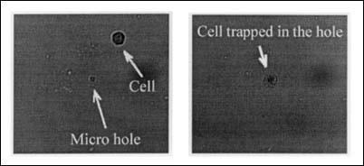 The First Truly Bionic Chip