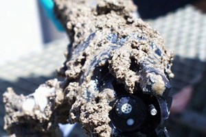 Drinking Water Measurement