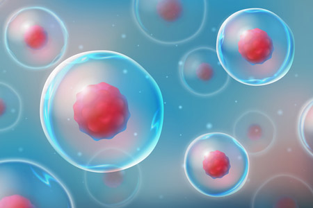 2024 The Year of Development in Cell Therapy