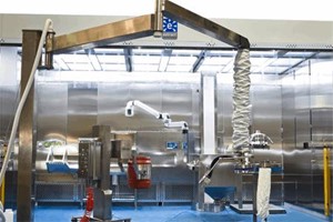 Pharmaceutical Critical Environments: Containment and Isolation