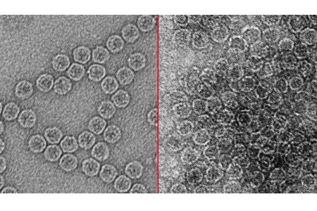 Zapping Untreated Water Gets Rid Of More Waterborne Viruses