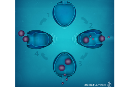 “Nano Rockets” Could Magnetically Release Therapeutics