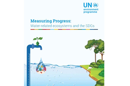 Measuring Progress Water Related Ecosystems And The Sdgs