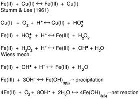 KDF 85 Process Medium Removes Iron