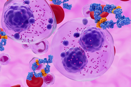 The RABBIT Jumps Ahead Rapid A BioSMB Biolayer Interferometry Technology