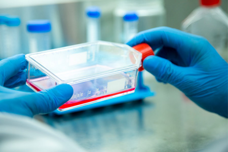 Mammalian Expertise Your Partner In Mammalian Cell Cultures