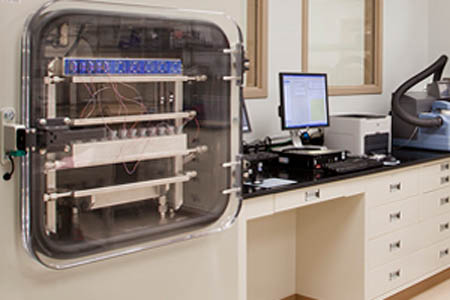 Formulation Development