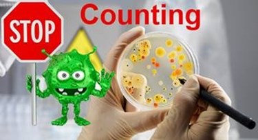 Rapid Microbial Detection