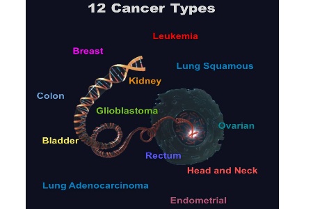 Different Cancers Can Share Genetic Signatures