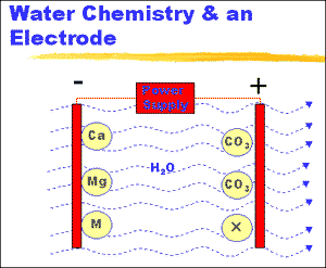 Electronic Purification of Water Shows Promise as Viable Technology