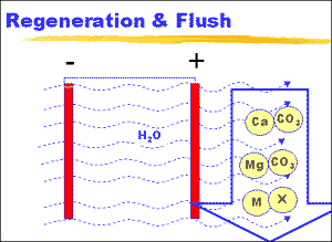 Electronic Purification of Water Shows Promise as Viable Technology