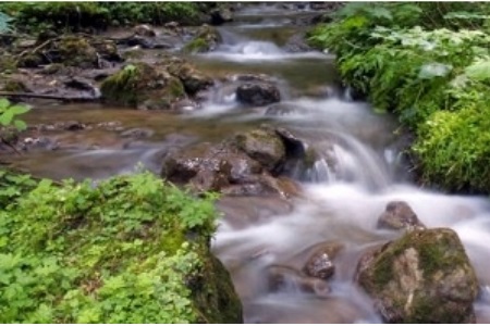 Clean TeQ Holdings Limited Teams Up With QUTs Institute For Future ...