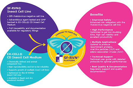 Sf-RVN Platform For Production Of Recombinant Proteins And Clinical ...