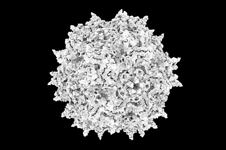 Quantifying AAV Aggregation And Quality Attributes By FFF-MALS