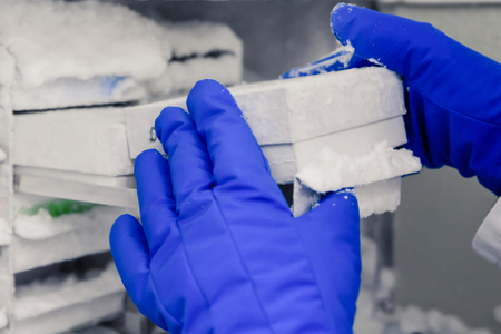 Six Important Considerations For Choosing The Right Laboratory ...