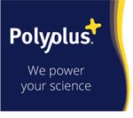 Polyplus-Transfection