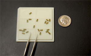 Department Of Defense Awards $1.6M For Implantable Biochip Research