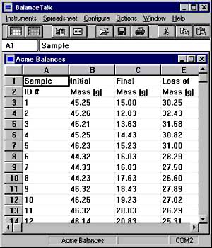 Balance Automation Software