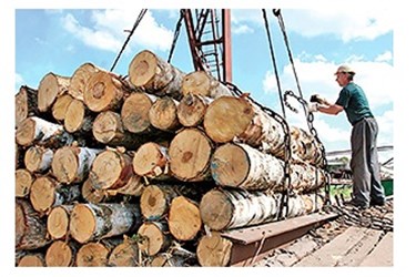 Modernized Belarusian Woodworking Enterprises To Export Products To ...
