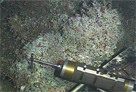 Raman Explorer 785 Used For Deep Ocean Exploration By CPAC