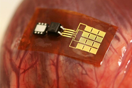 Powering Medical Devices With Heartbeats And Breathing Lungs