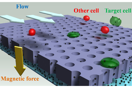 Cell-Detection System Promising For Medical Research Diagnostics
