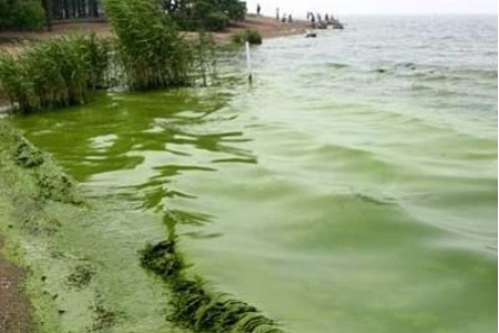 DRI Expands Chinese Partnership To Address Water Pollution Management ...