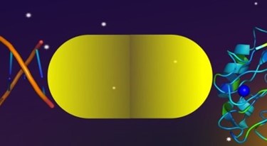 Using Gold Particles To Make The Invisible Visible