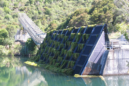 Self-Cleaning Trashrack Helps Keep The Power On For New Zealand ...