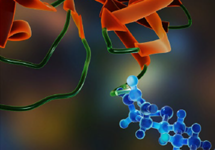 Using Avi-Tag Biotinylated Proteins To Determine Protein Interaction ...