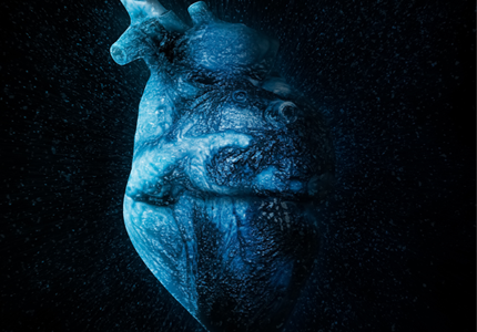 Chemically Defined Safe And Effective Cryopreservation