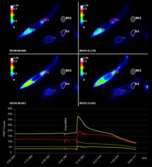 Carl Zeiss' Dual Camera Module Captures Multichannel Images ...