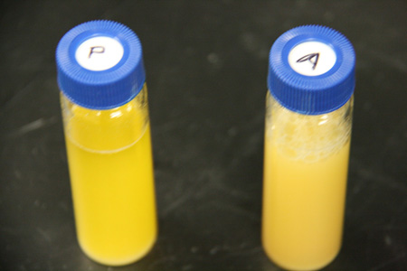 How A Placebo Formulation Is Designed For An Oral Solid Dose Product