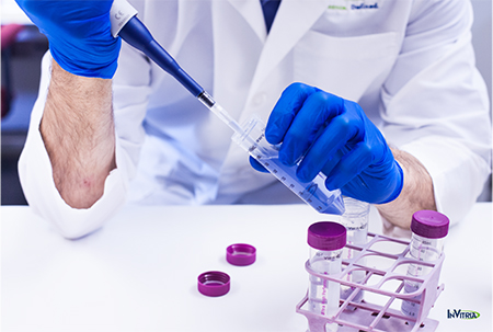 Insulin-Transferrin Supplements